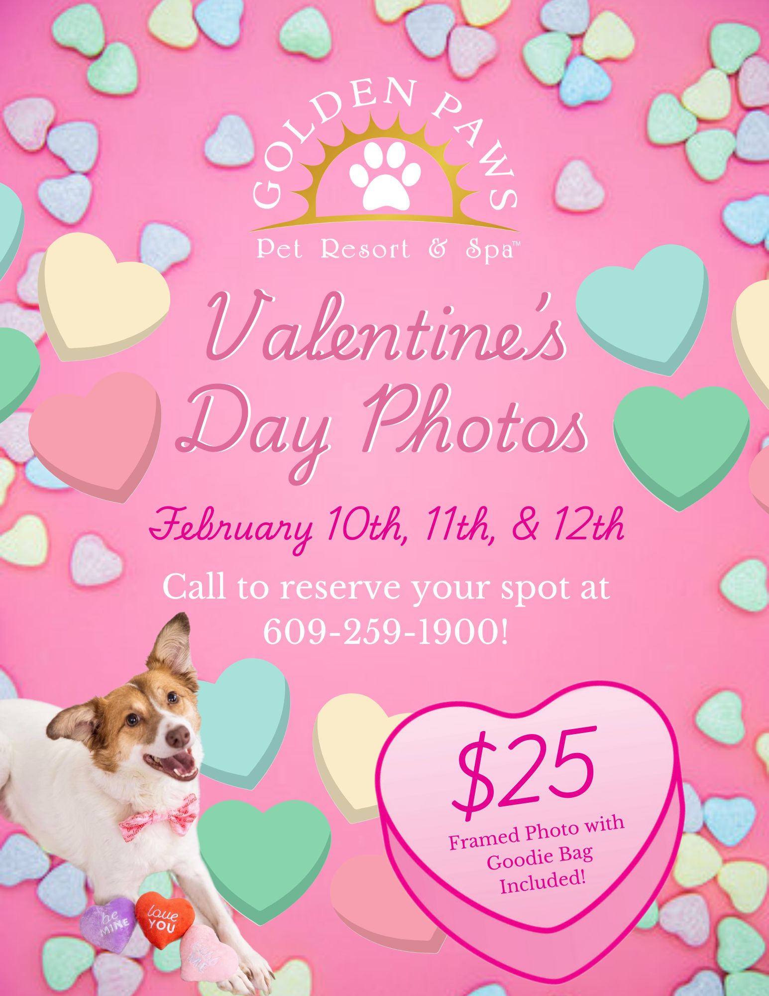 Valentine's Day Photos - Golden Paws Pet Resort and Spa