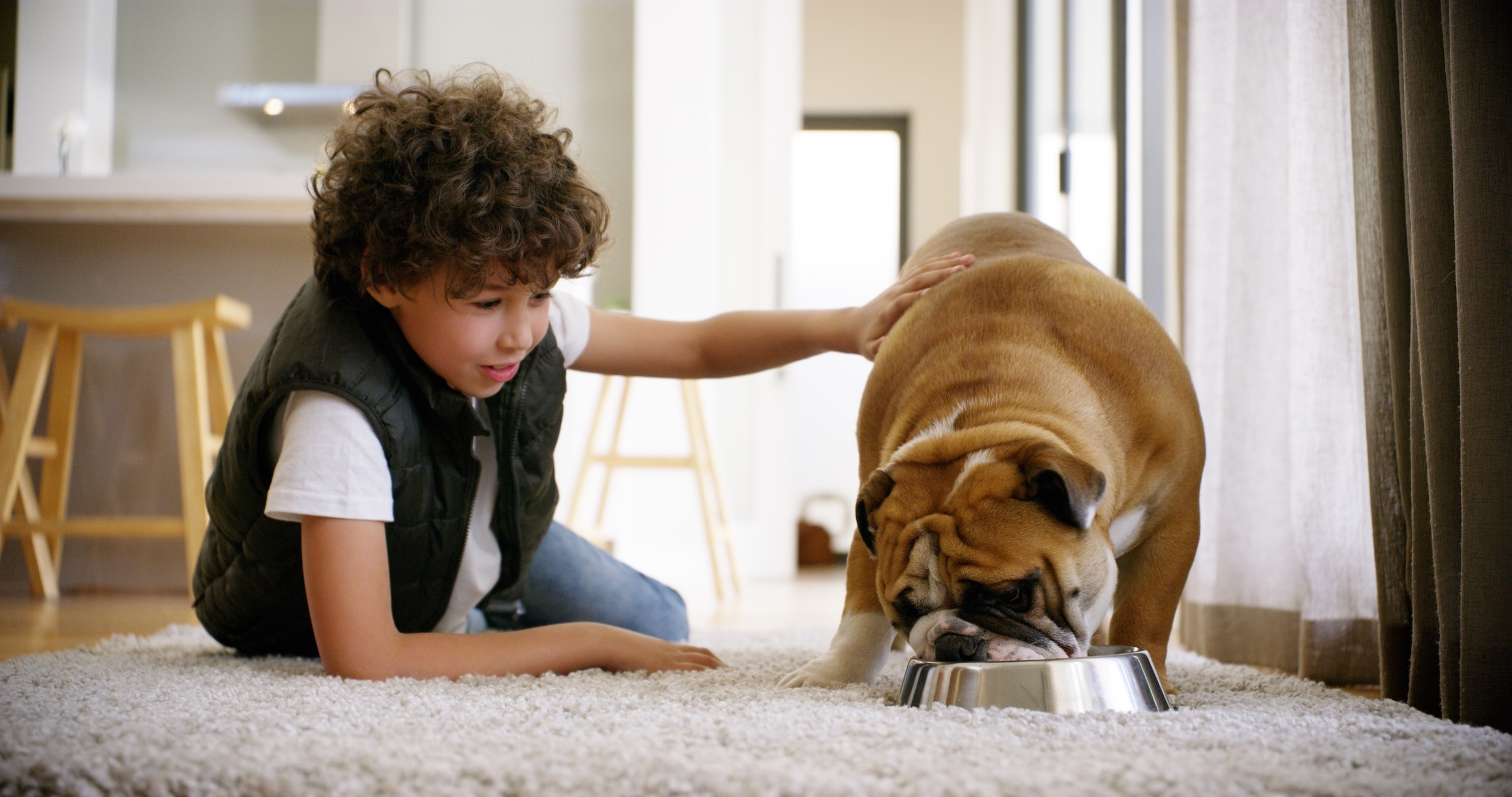 Teaching Kids Responsibility Through Pet Care: A Back-to-School Guide ...